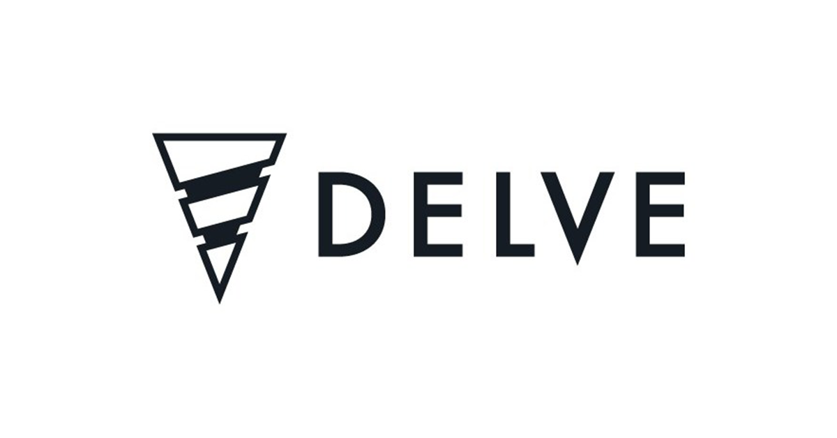 Delve Security: With so many vulnerabilities, prioritize the risks ...