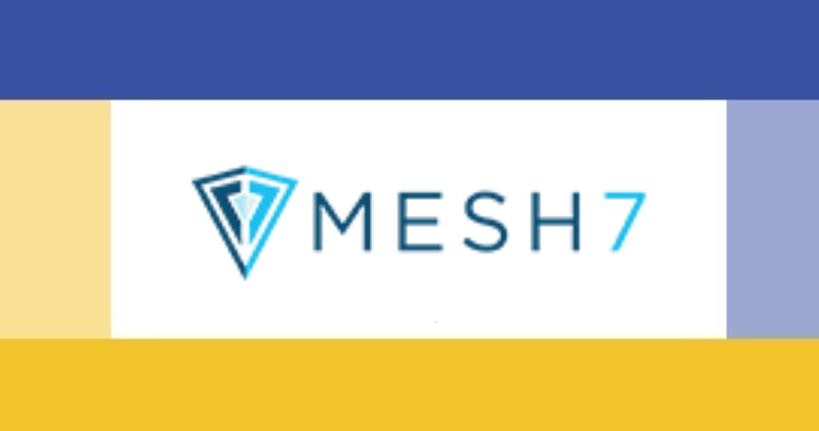 Mesh7: Automatic Discovery of Security Weaknesses across Complex, Cloud ...